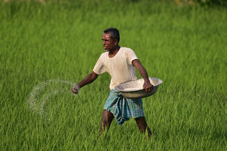 Cabinet approves higher MSP for 14 Kharif crops for 2026-27 marketing ...